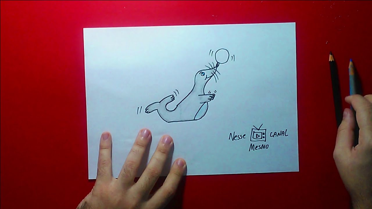 COMO DESENHAR UMA FOCA | HOW TO DRAW A SEA WOLF - YouTube