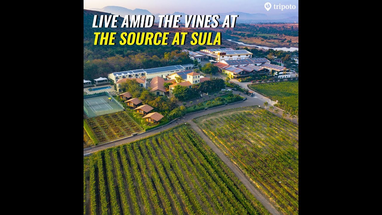 The Source At Sula: Explore India's Very Own Tuscan Valley - YouTube