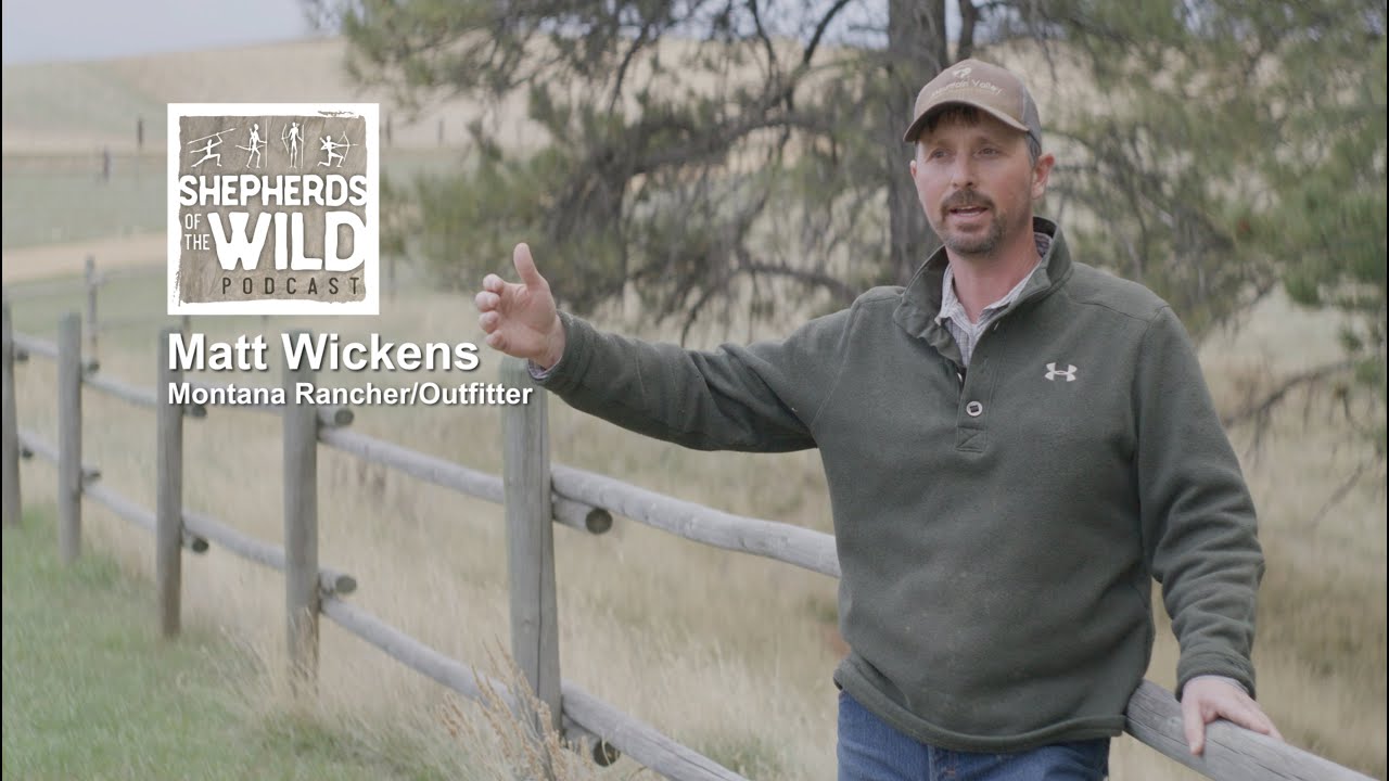 Ep 48 - Matt wickens, Montana Rancher and Outfitter - YouTube