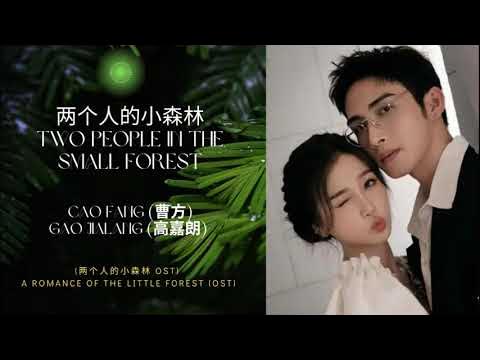 Two People In The Small Forest (两个人的小森林) - Cao Fang (曹方) & Gao Jialang (高嘉朗) || Hanzi/Pin/Eng ...