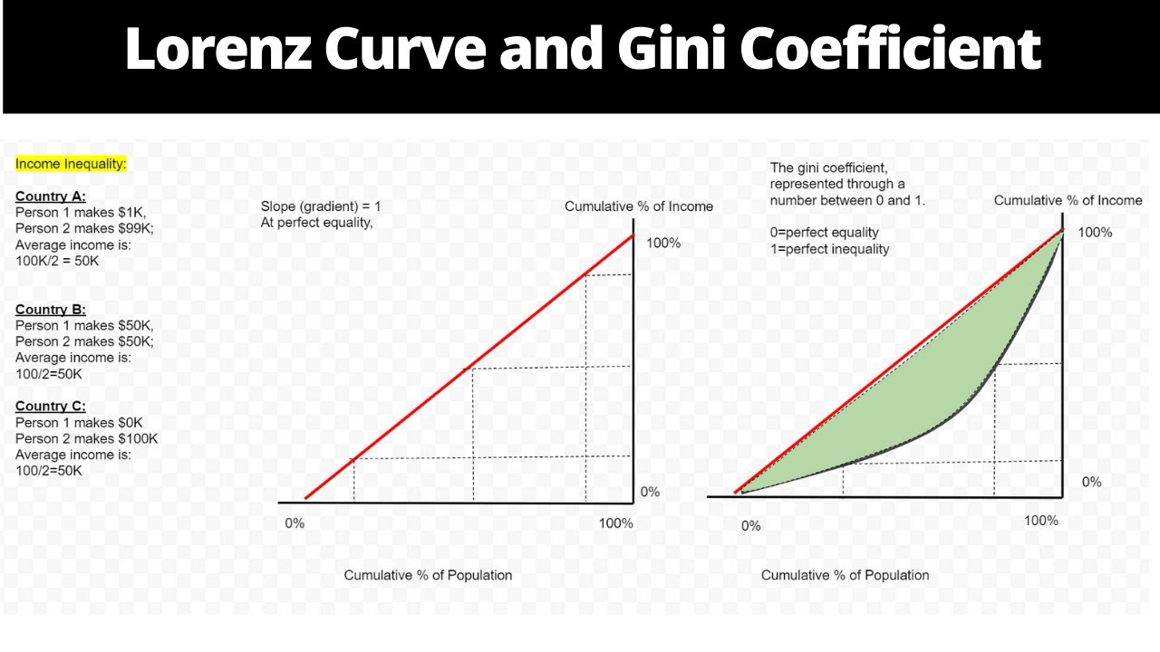 Gini Coefficient and Lorenz Curve - YouTube