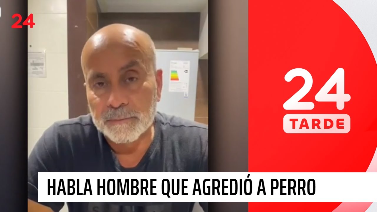 "Pido perdón": habla hombre que agredió a perro en Villa Alemana | 24 ...