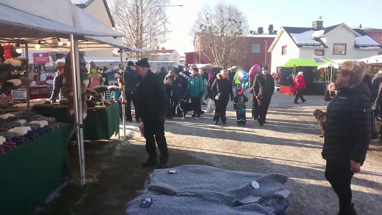 A. Ammal. Day uit to burtrask north of Sweden 🇸🇪 enjoy made from a ...