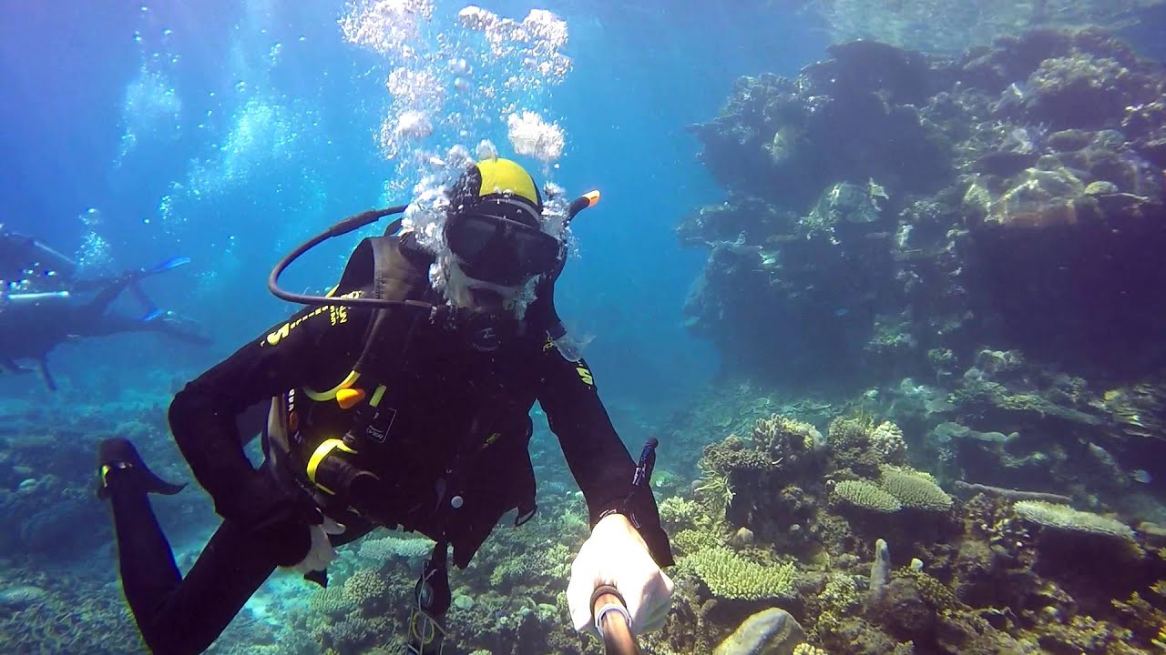Diving at Flynn- and Milln Reef, Great Barrier Reef, Australia - GoPro ...