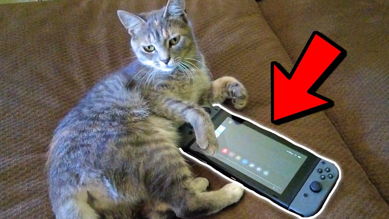 When You Get A Switch - YouTube