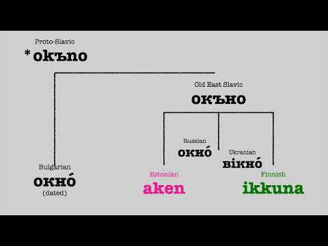 Uralic Languages Comparison: house