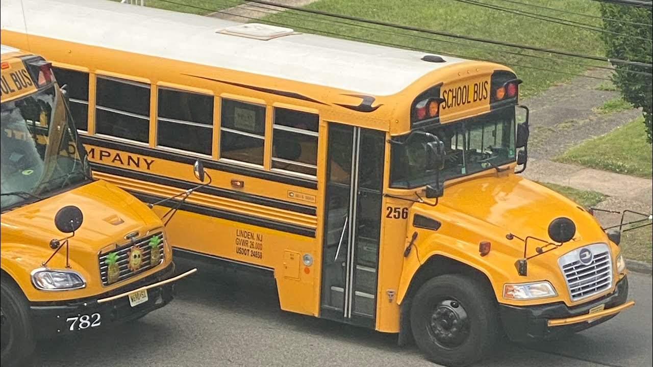 Driving in a 2016 Bluebird Vision Afternoon Ride - YouTube
