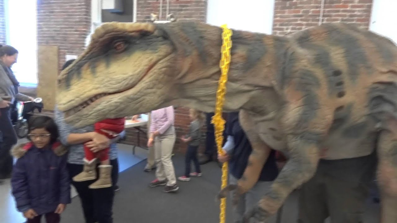 Dinosaur-museum-manchester - YouTube