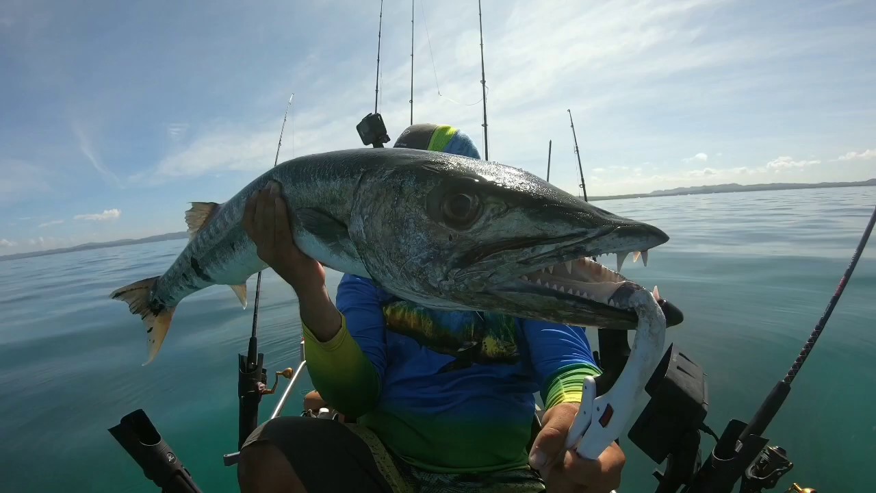 🔥Fishing big barracuda🔥 - YouTube