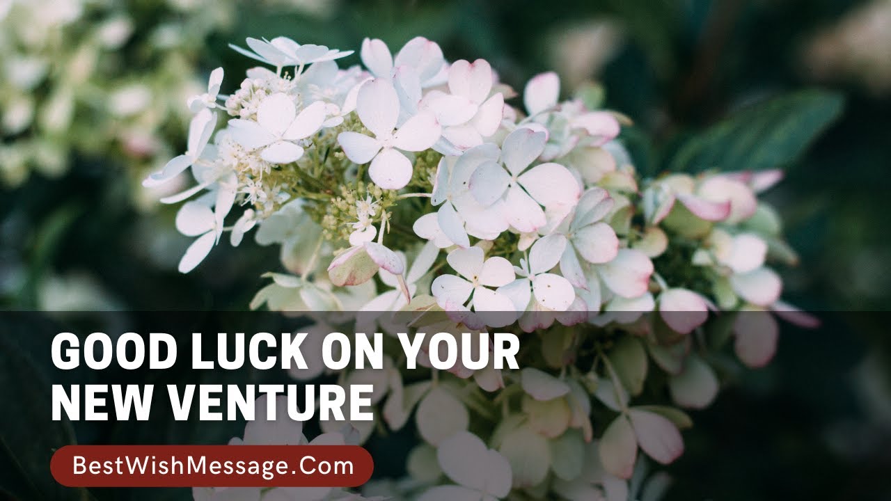 Good Luck on Your New Venture | Best Wishes for New Business - YouTube
