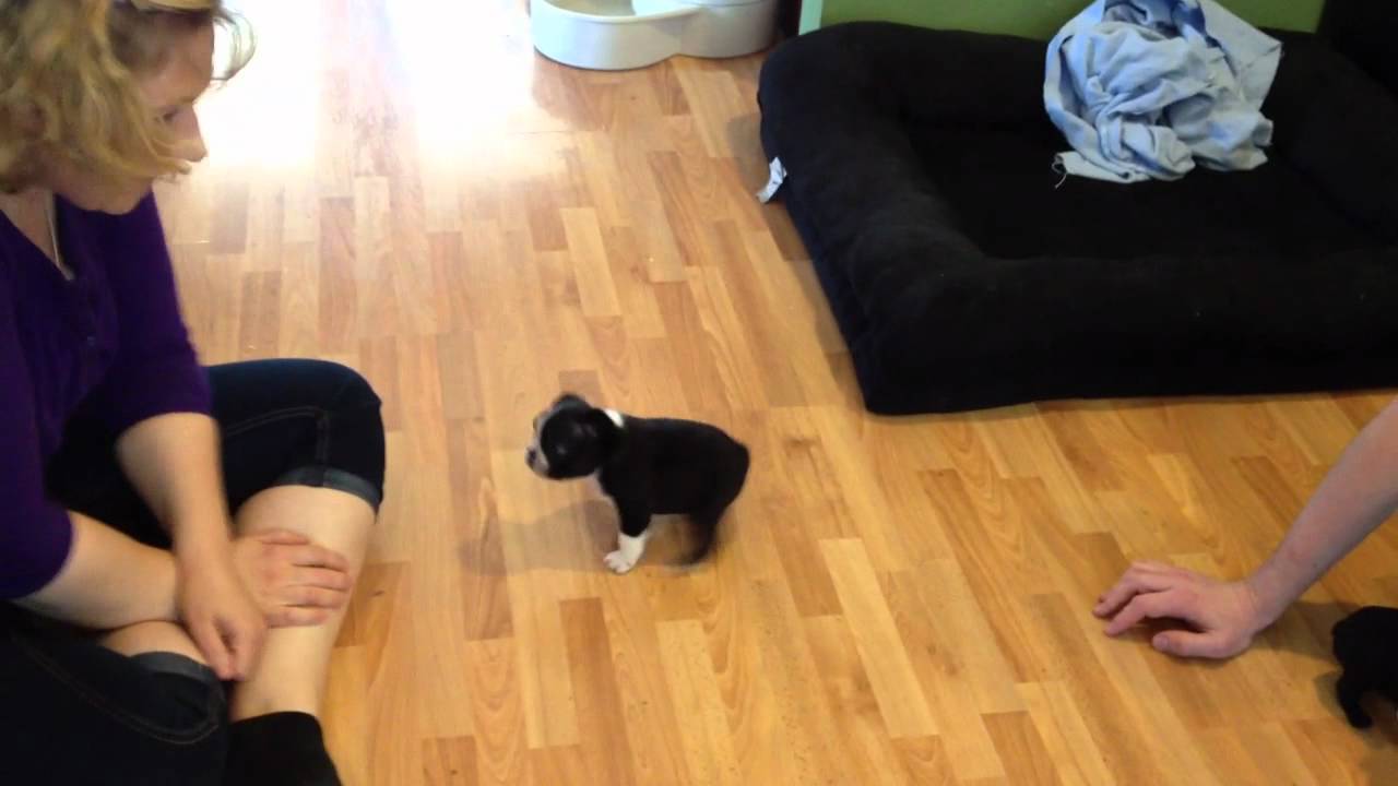 Benny Week 5 - YouTube