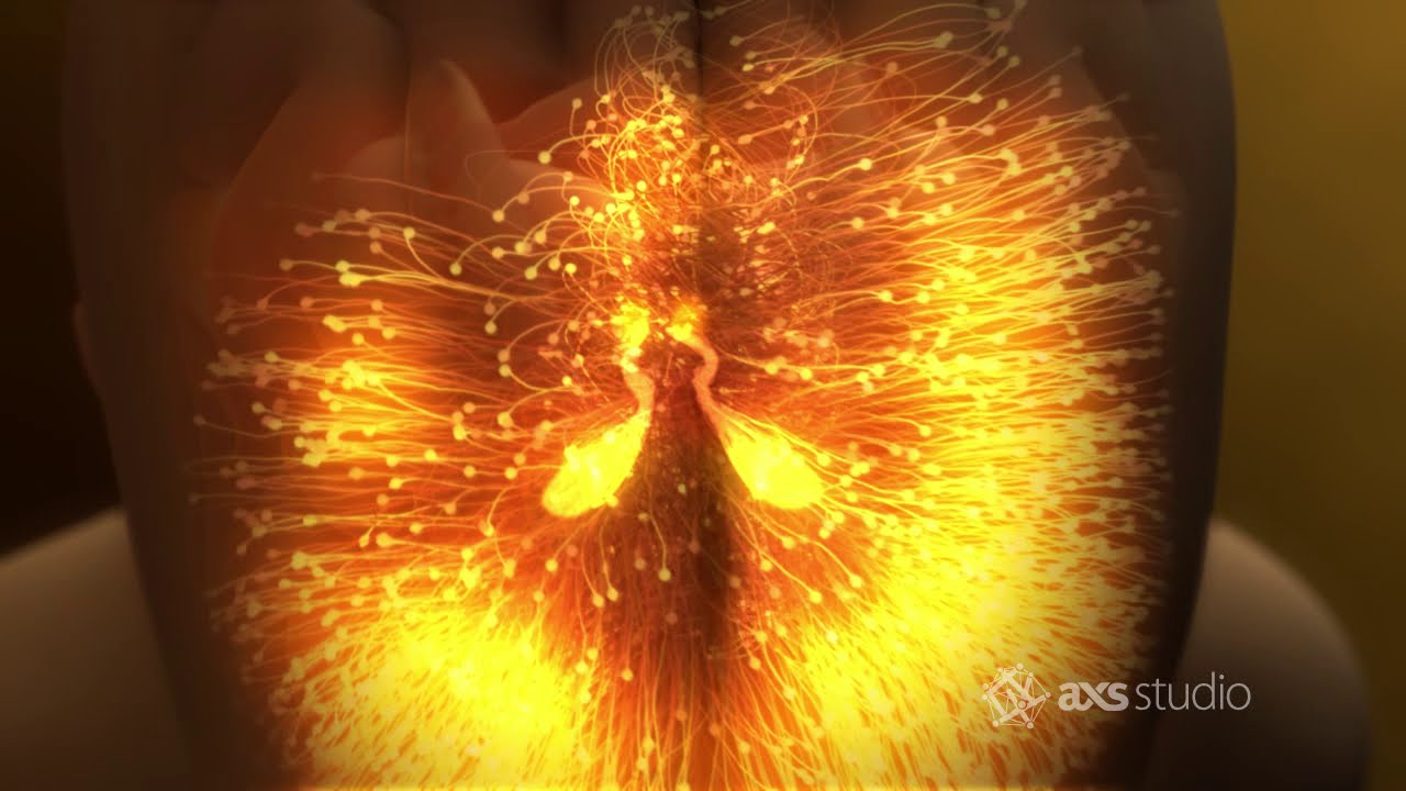 Scientific Animation Showreel 2011 - YouTube