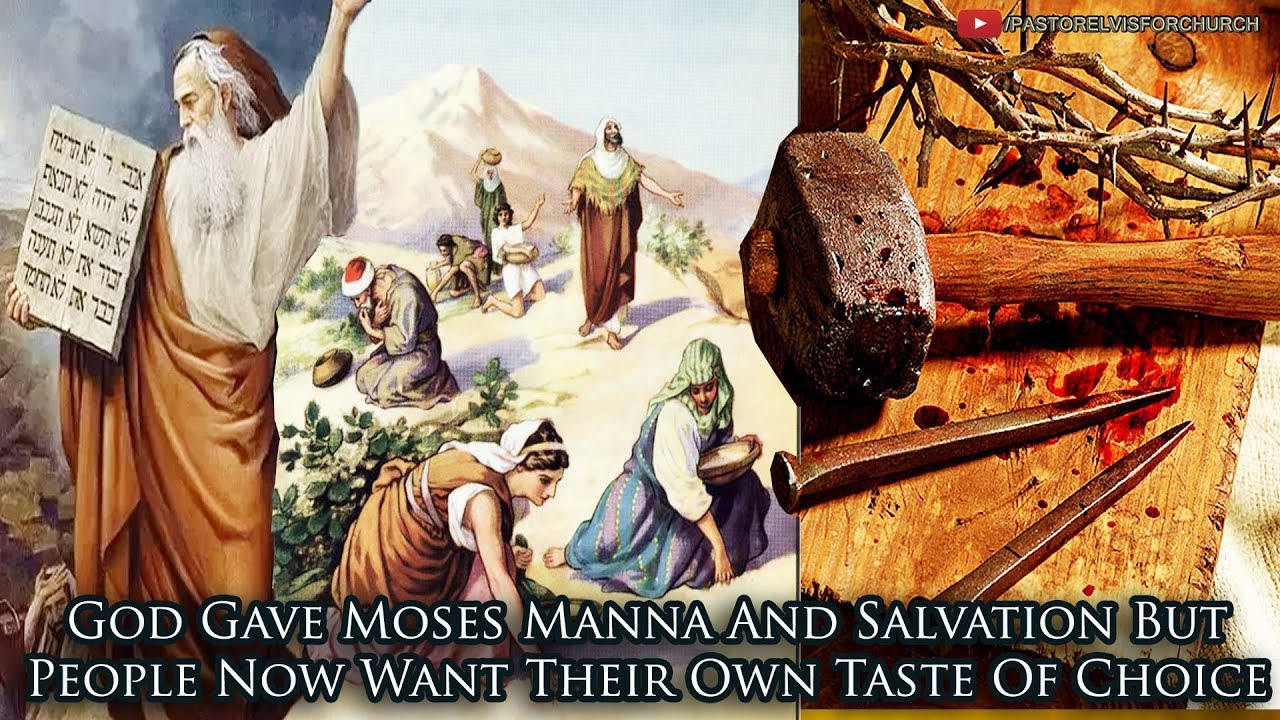 #BibleStudy 594 - God Gave Moses Manna And Salvation But People Now ...