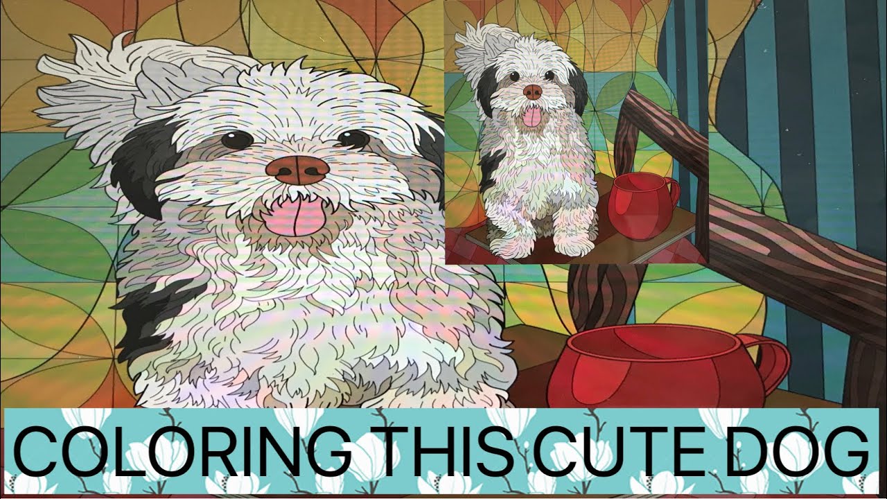 HOW TO COLOR THIS CUTE DOG/FILIPINA BISAYA NETHERLAND - YouTube