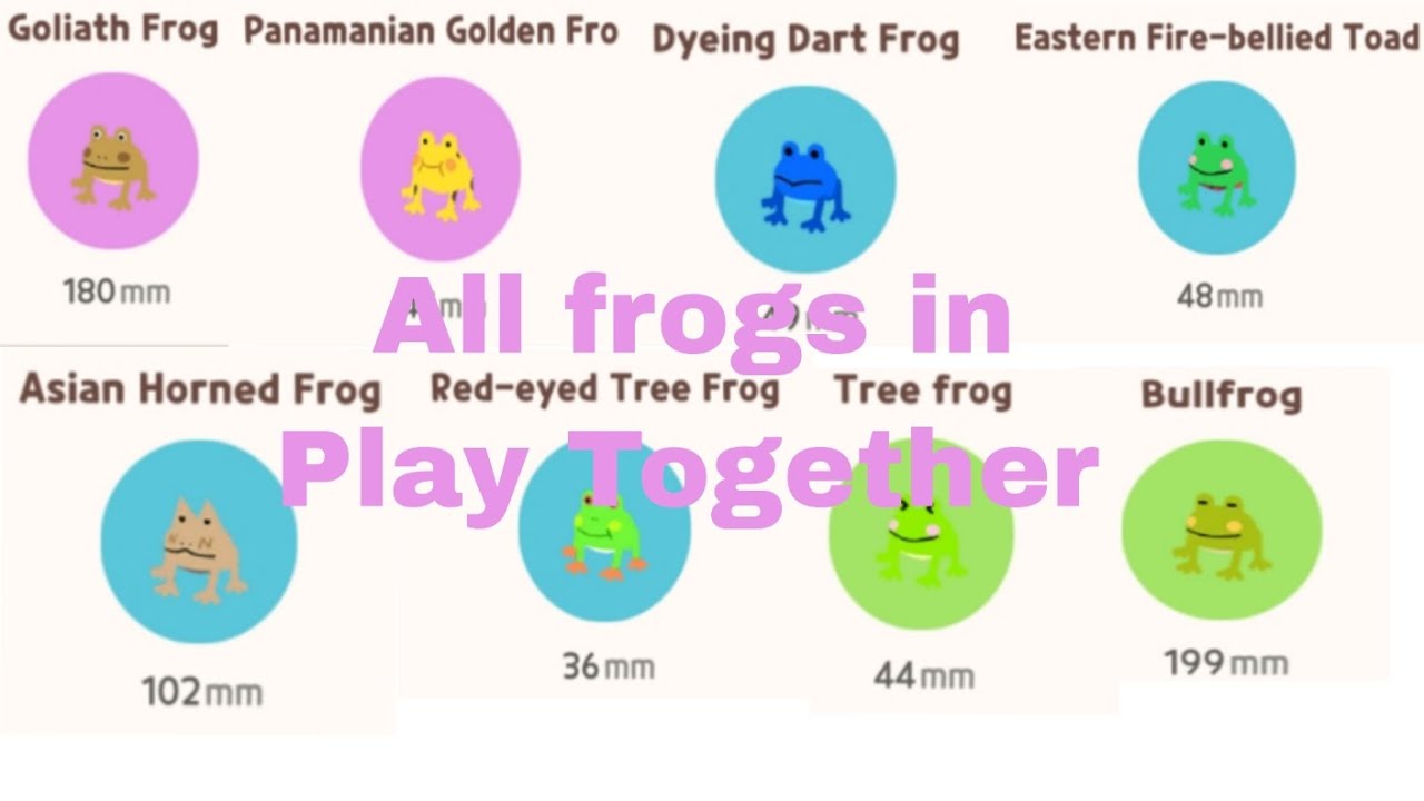 All Frog Location and time (insect) | Play Together - YouTube