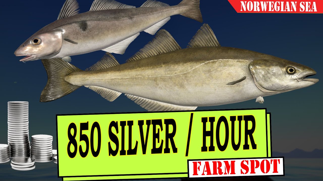 RF4 - Russian Fishing 4 - Silver Farm Spot - Norwegian sea - YouTube
