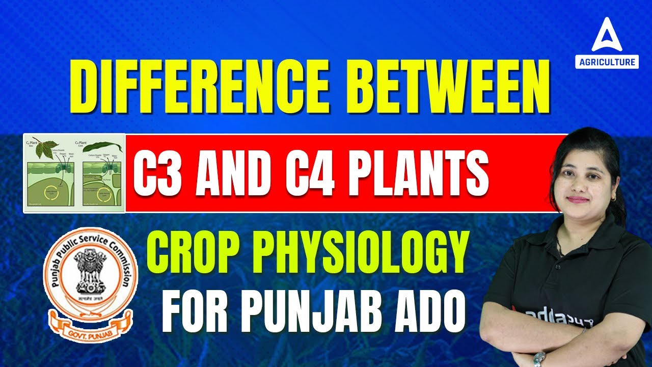 Difference Between C3 and C4 Plants | Crop Physiology for Punjab ADO - YouTube
