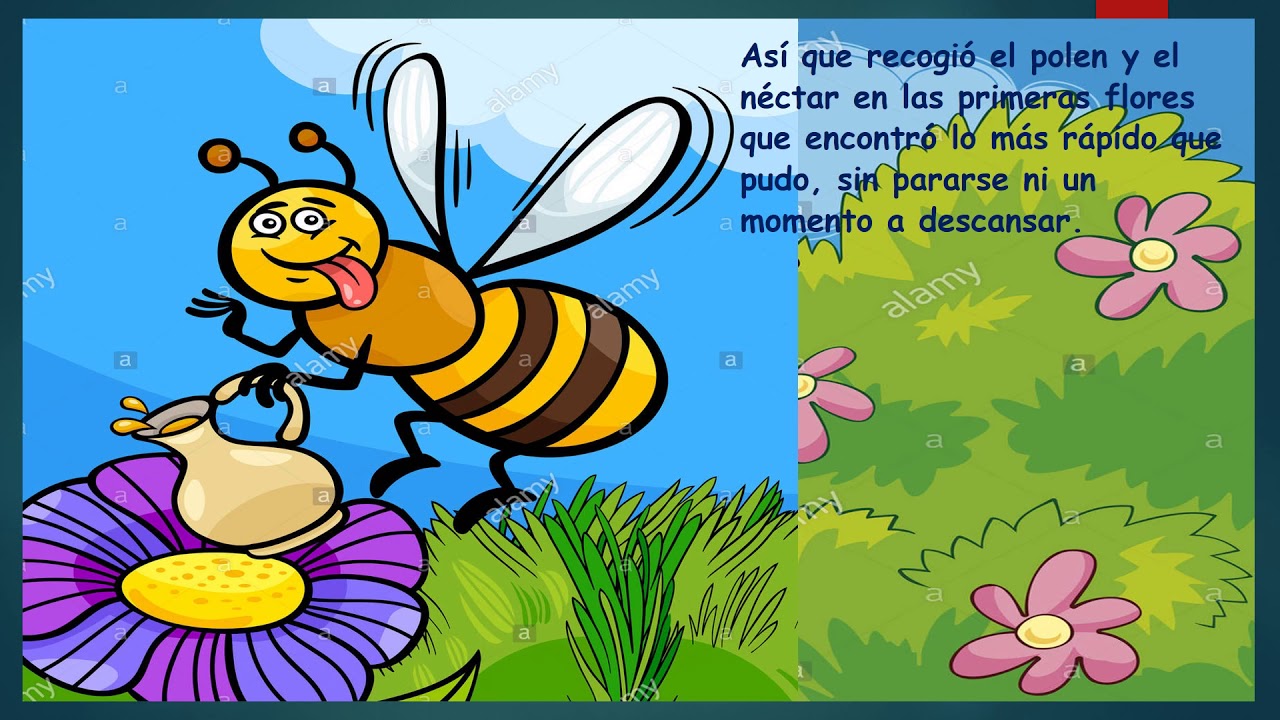 CUENTO LA ABEJA FELIZ - YouTube