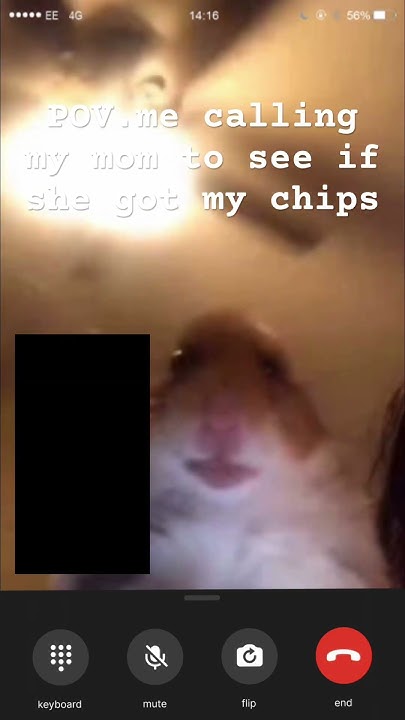 POV me calling my mom to see if she got my chips #dreamscreenai - YouTube