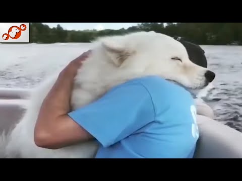 ❤️ Dogs & Animals Say \