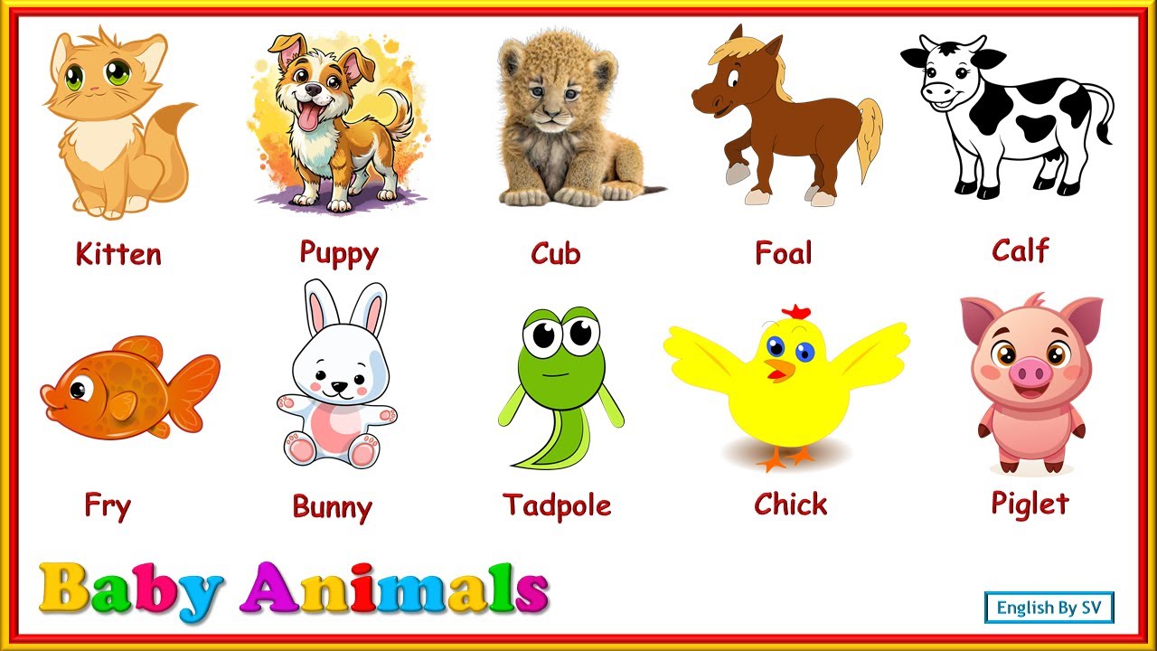 Learn about small Animal in English | Learn Parent and Baby Animal ...