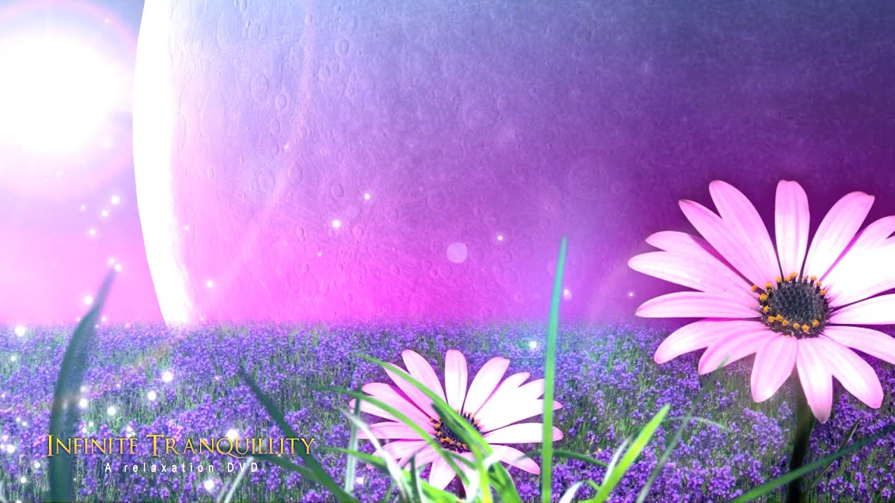 Wallpaper(do do dododo) song - YouTube