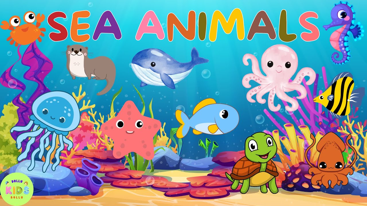 Learn Sea Animal Names - Animals of the Ocean 4K - Sea Creatures for ...