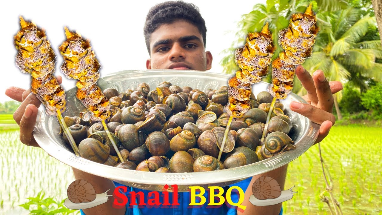 Cooking Snail BBQ Recipe in Tamil | healthy Snail bbq cooking | yummy ...