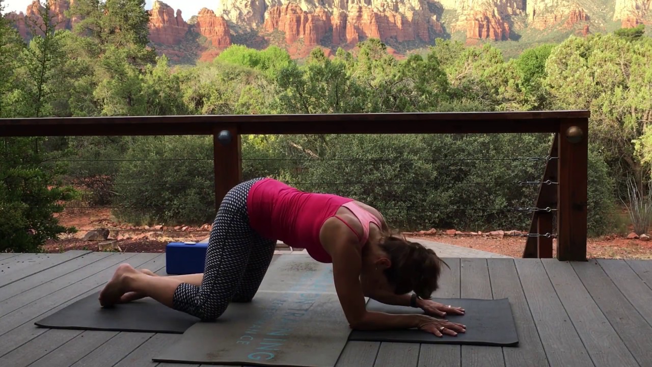 8 Point Plank by AZ CORE FITNESS | Stacey LaPlante - YouTube