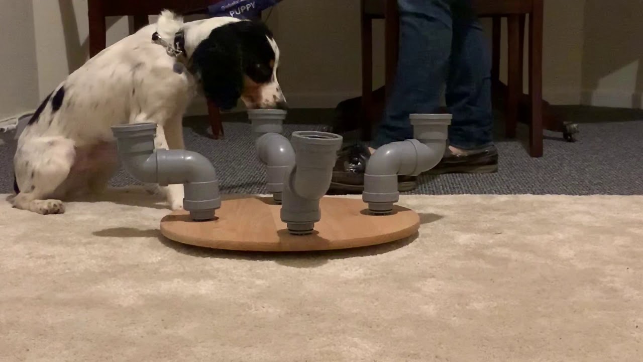 Scent Wheel Introduction Part 2 - YouTube