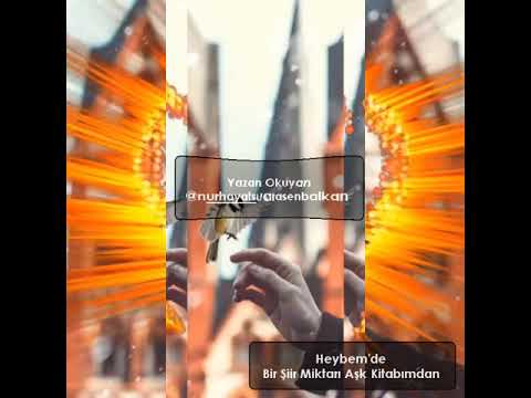 Ben sana değil sana değil oturduğum dala kırıldım ! .. Yazan Okuyan | Nur Hayat Şuara