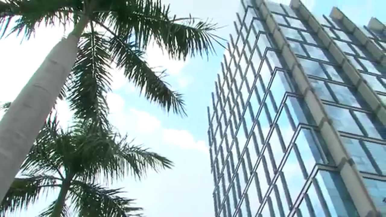 BECAMEX TOKYU - KAZE BUS - YouTube