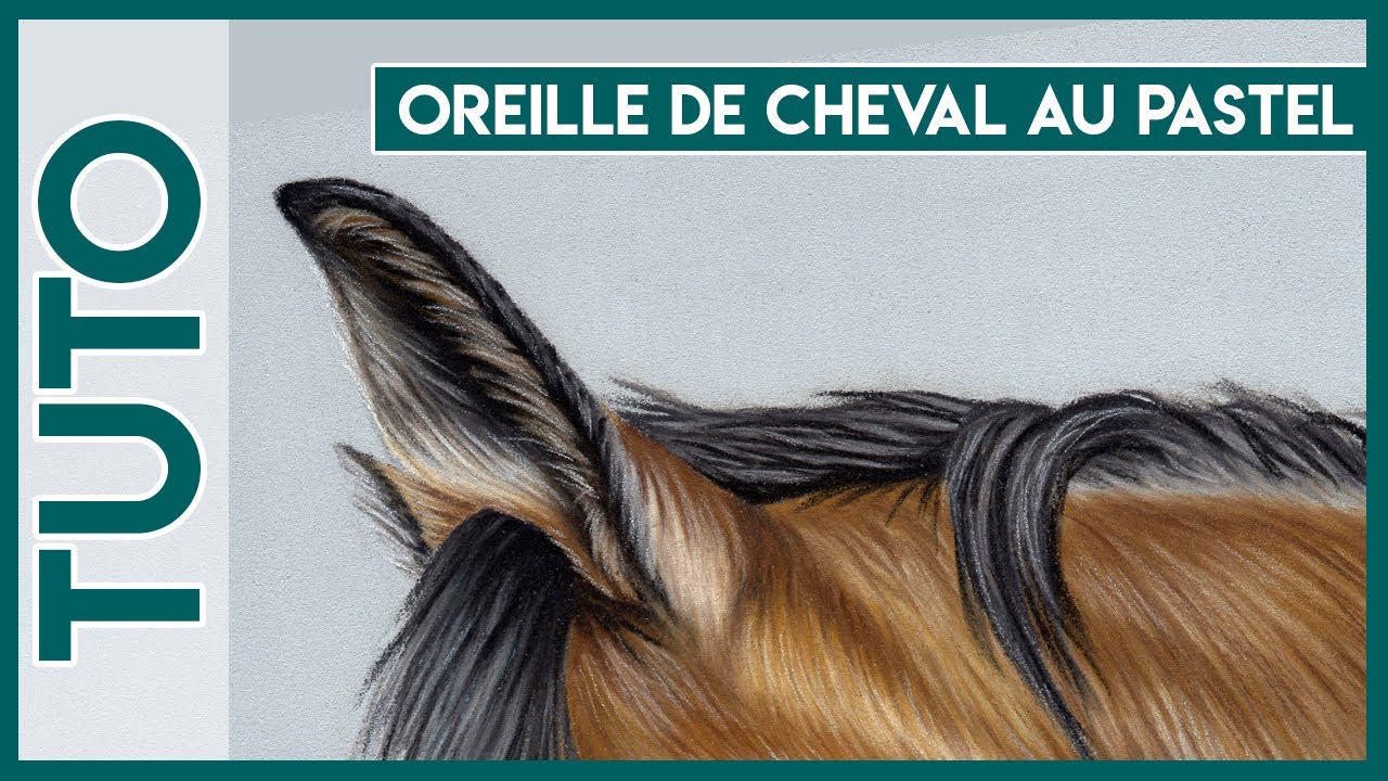 Tuto dessin, dessiner une oreille de cheval au pastel sec - YouTube