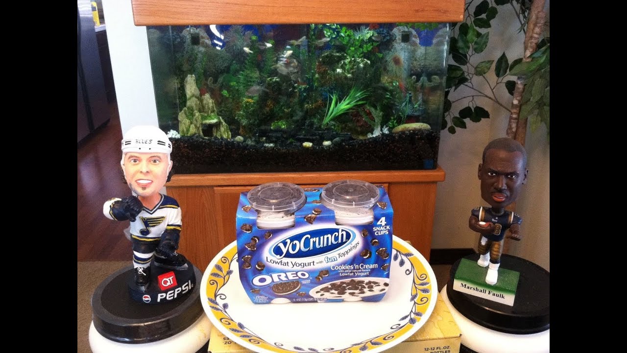 YoCrunch Cookies'n Cream OREO Lowfat Yogurt Review - YouTube