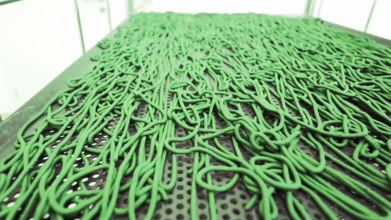 The Life Cycle of Spirulina | Modern Aquaculture and Production of Blue ...