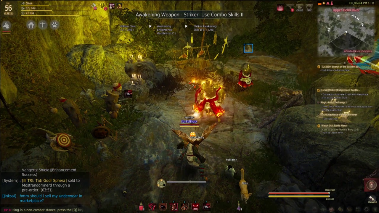 Black Desert Online bdo striker awakening Quest Completion :) - YouTube