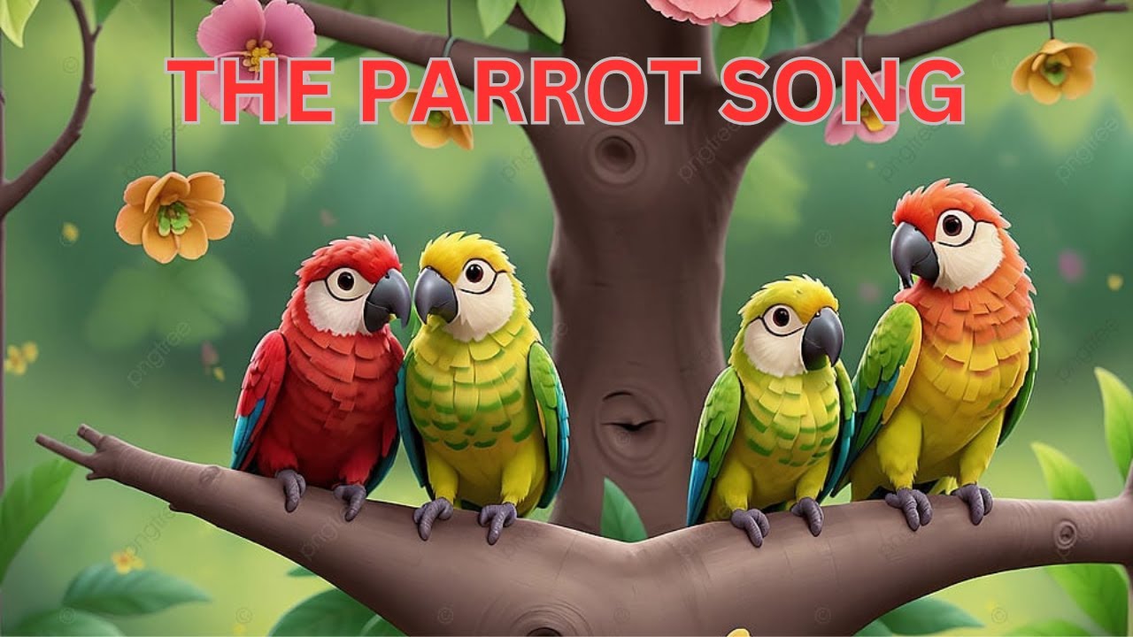PARROT |PARROT SONG |Nursery Rhymes for children and kids songs - YouTube