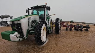Seeding the Future: First Day Milo Planting