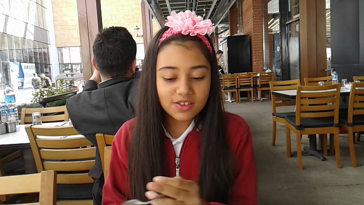 Vlog - YouTube