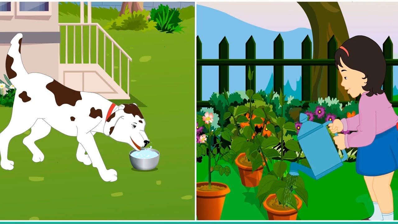 Water for All - EVS | Animated chapter | Animation - YouTube