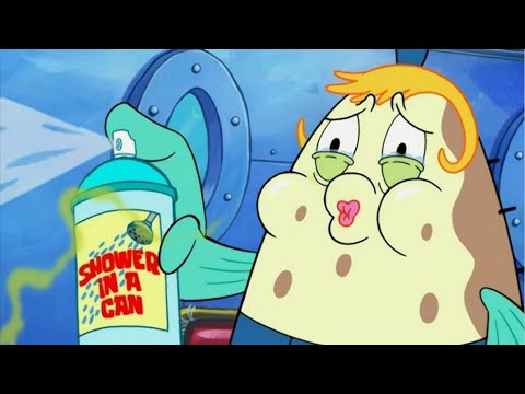 🚨LATE LEGS🚨PPL SPLIT LOCK IN🚨 - YouTube