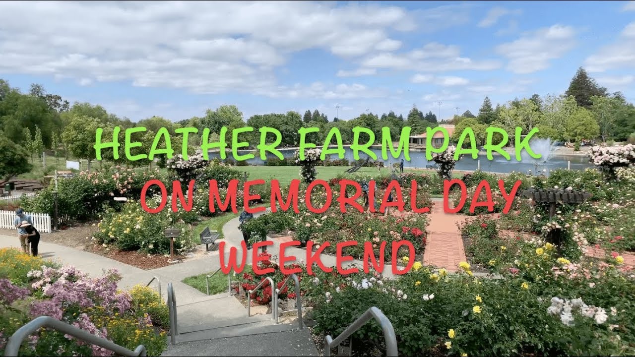 Heather Farm Park - Walnut Creek - YouTube