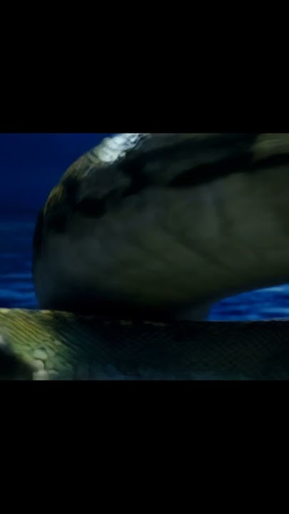 A massive python coils around a juvenile crocodile - YouTube