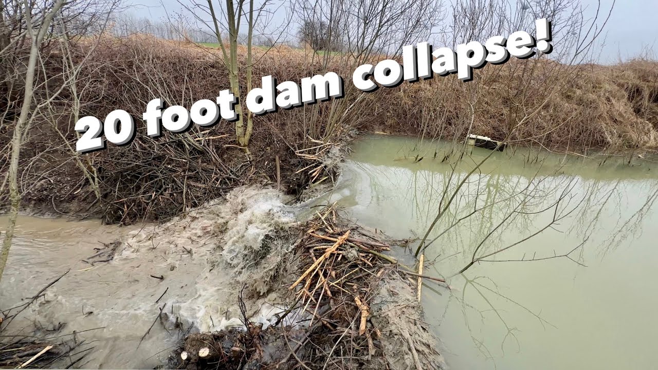 20 FOOT Beaver Dam Collapse! - YouTube
