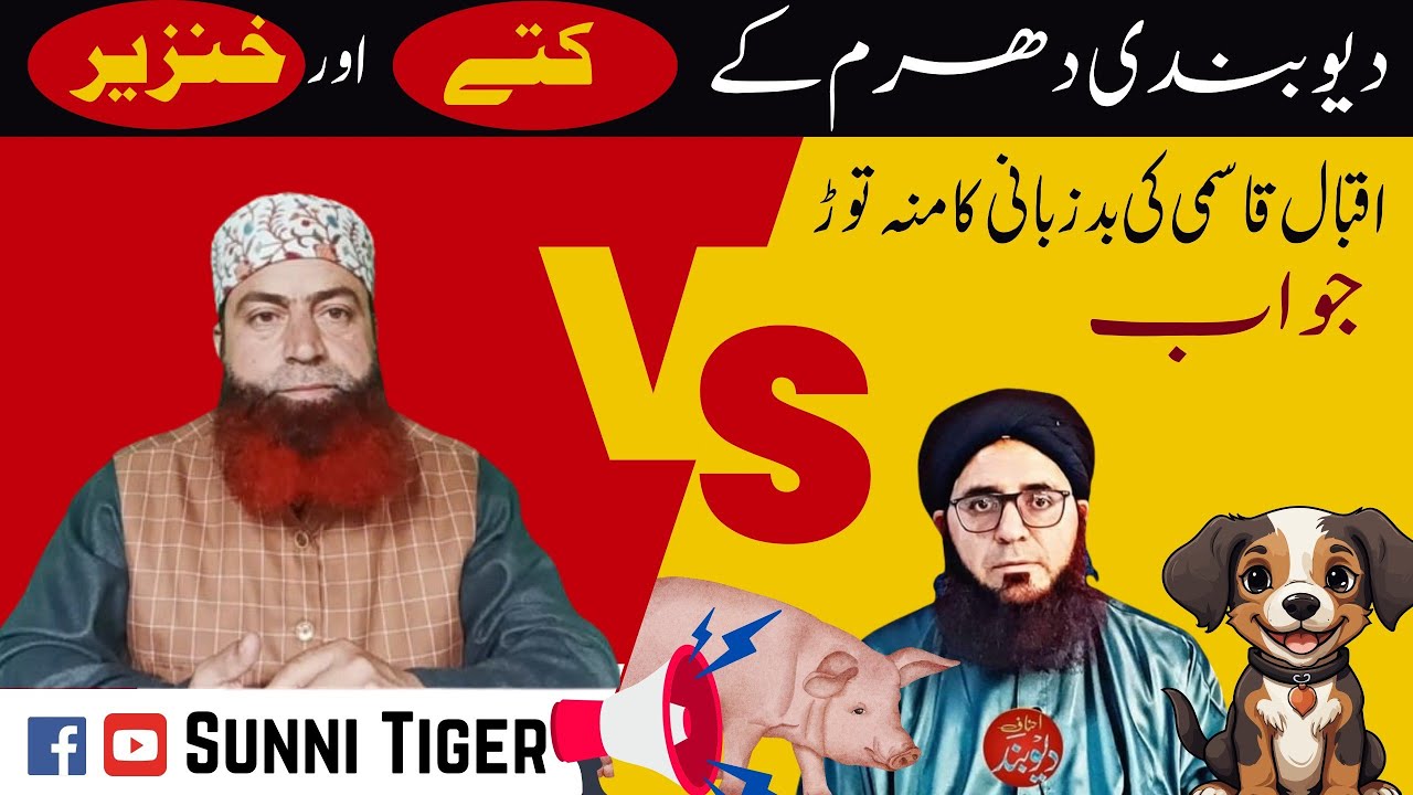 Davbandi kutty aur khanzeer ...اقبال دیوبندی کی بد زبانی کا جواب - YouTube