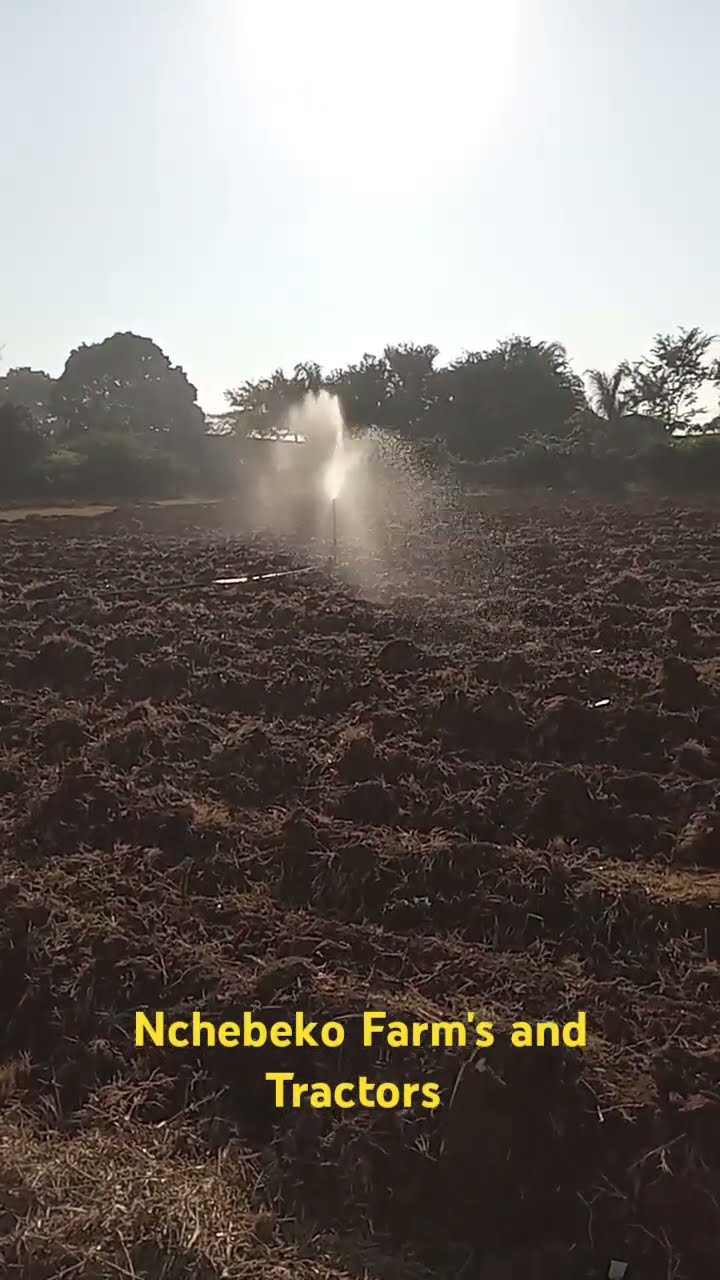 over head irrigation system. preparing for cabbage seedlings 🌱🌱 - YouTube