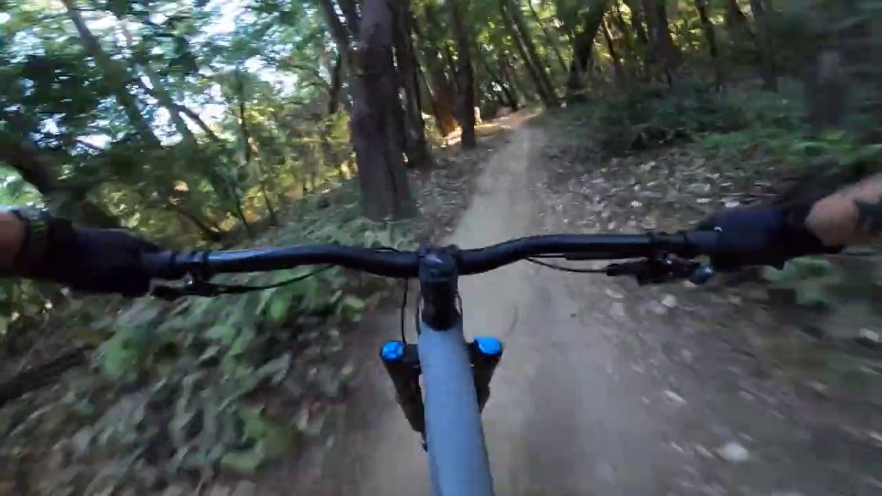 Demo Forest: Ridge Trail - YouTube