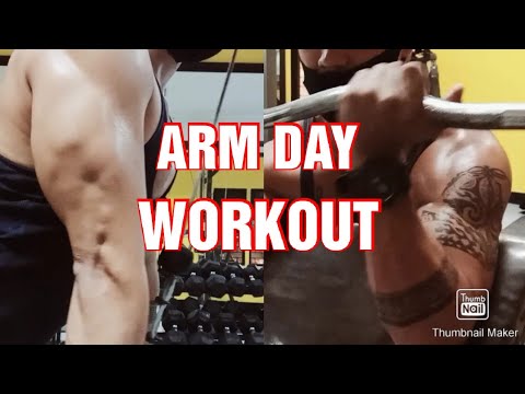 ARM DAY WORKOUT ROUTINE - YouTube