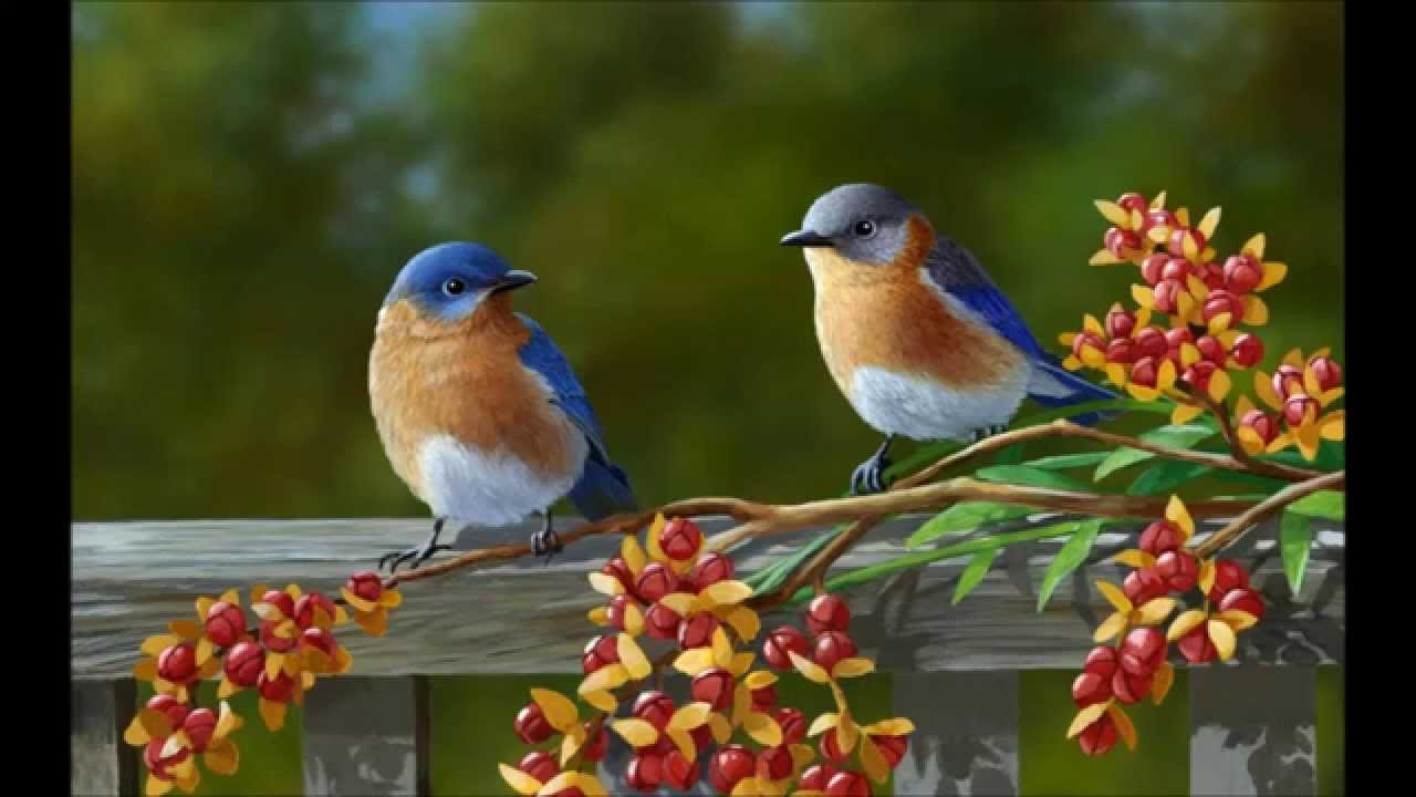 kokarai sanaullah - YouTube
