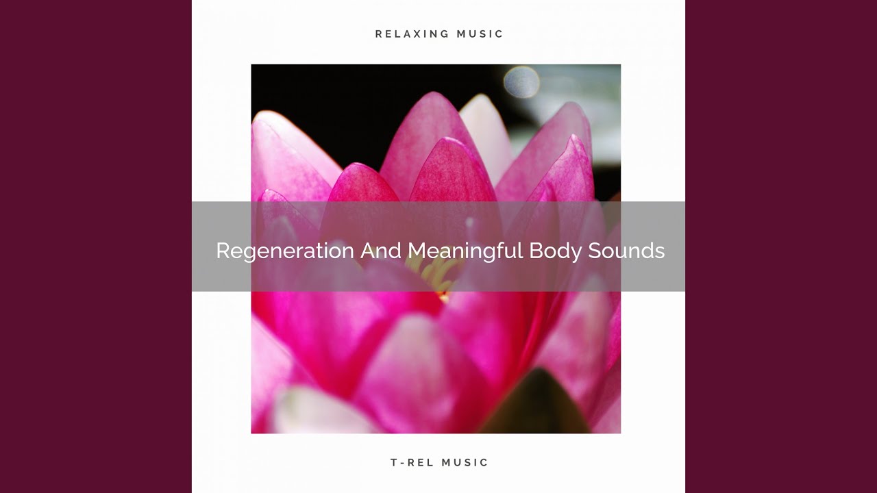 Regeneration And Meaningful Body Songs - YouTube